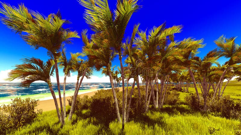 Beautiful shore stock photo. Image of scenic, view, travel - 48324604