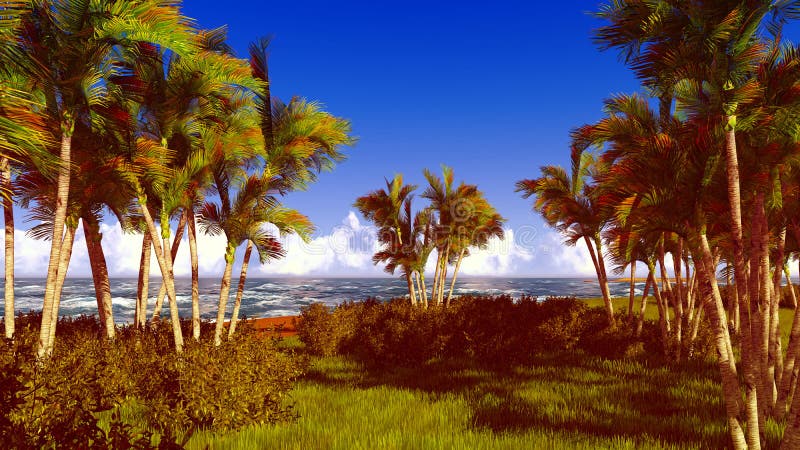 Beautiful shore stock photo. Image of seascape, coastline - 48324640