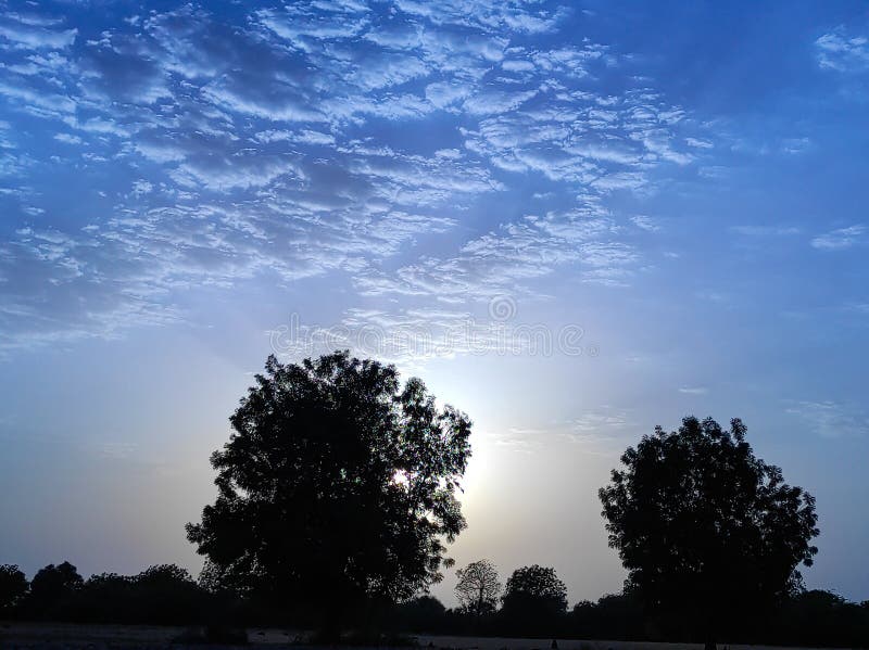 Beautiful Short of Nature Beauty Background Tree, Cloud and Sunset ...