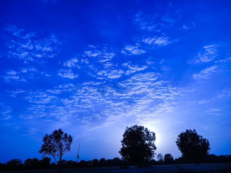 Beautiful Short of Nature Beauty Background Tree, Cloud and Sunset ...