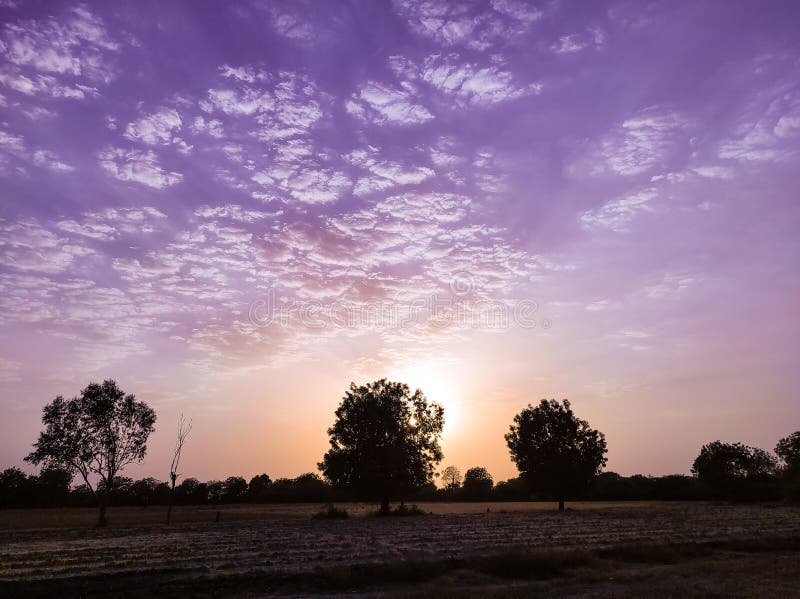 Beautiful Short of Nature Beauty Background Tree, Cloud and Sunset ...