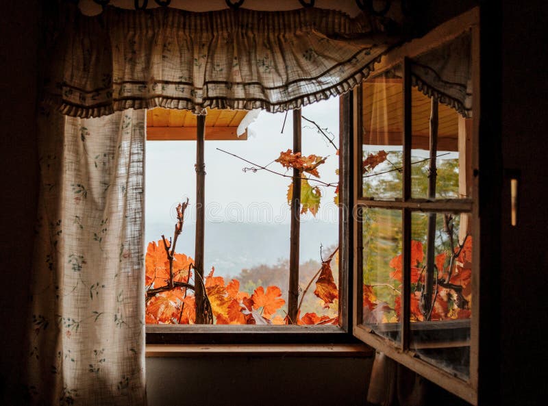Beautiful Shot of an Autumn View from a Window Stock Image - Image of ...