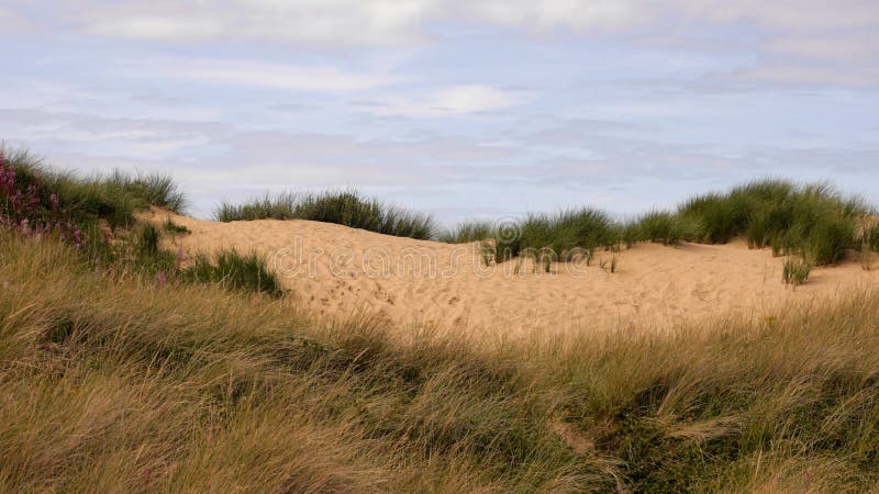 Beautiful Shot of the Beach Side in Sri Lanka Stock Photo - Image of ...