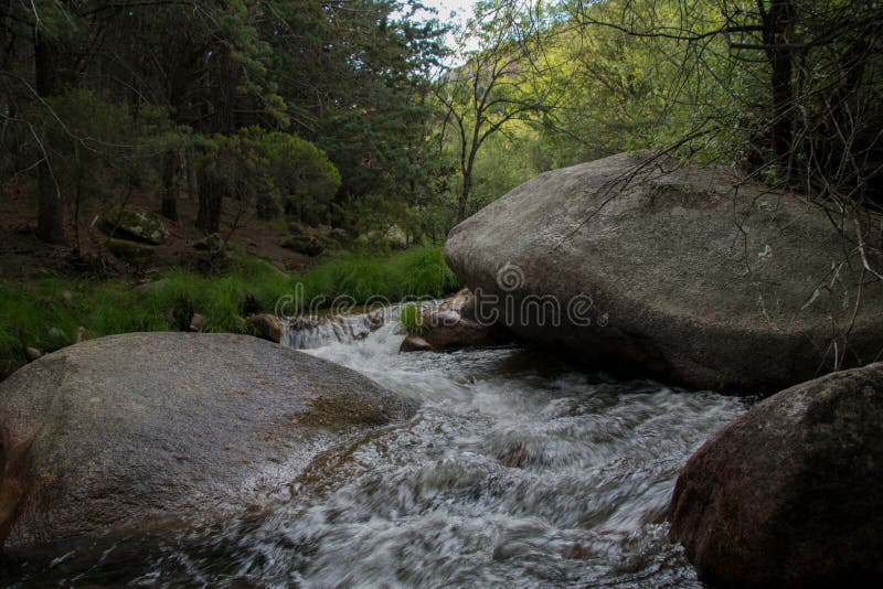 Beautiful Shot of Big Rocks on the River in the Middle of the Forest ...