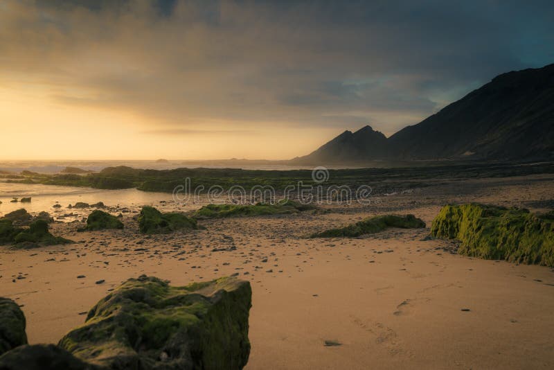 Beautiful Shot of the Coastal Sandy Scenery Stock Image - Image of ...