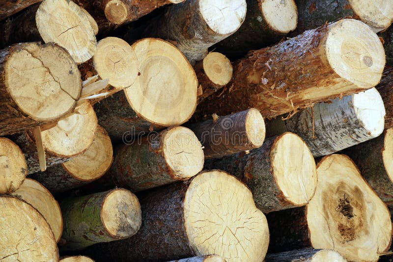 Logs are a Bunch at the Ranch. Stock Photo - Image of rustic, rural ...