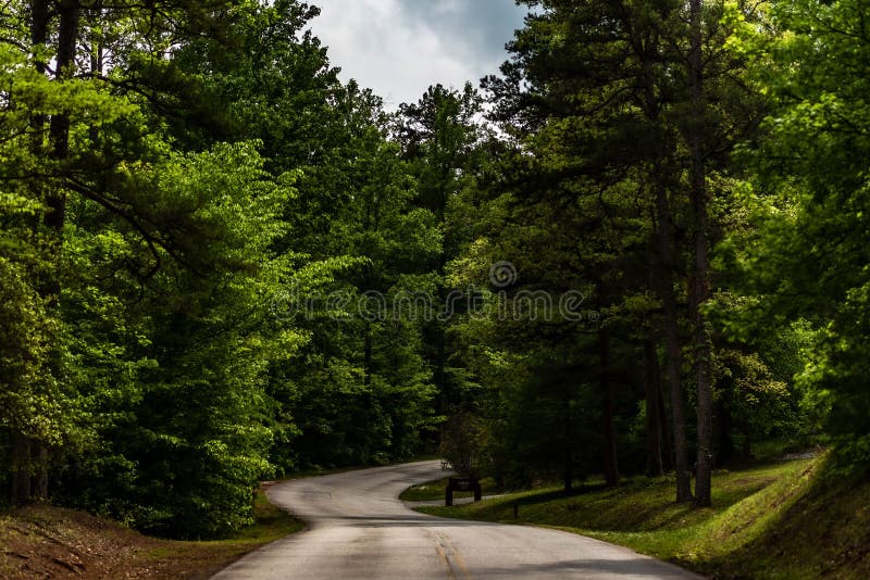 Beautiful Shot of a Driving Trail through a Lush Green Forest Stock ...