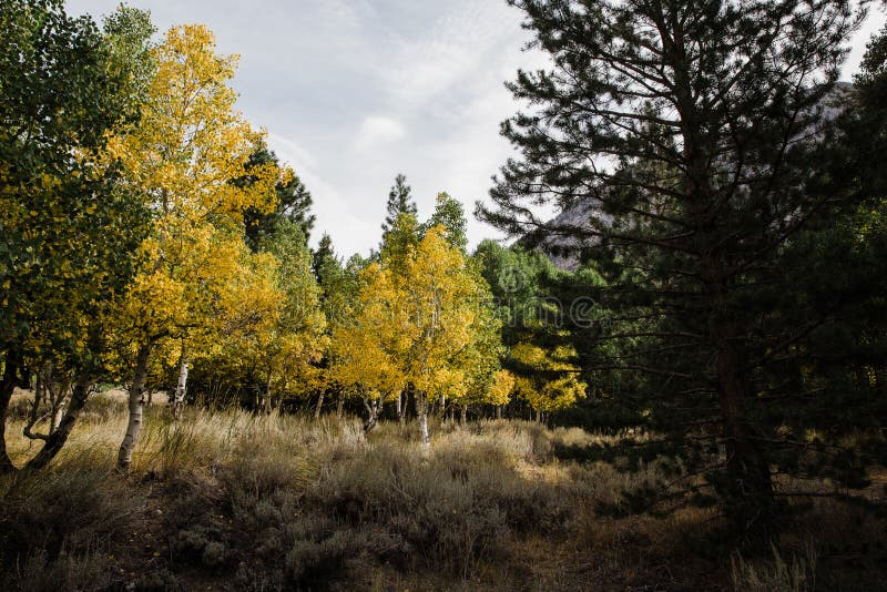 Beautiful Shot of the Eastern Sierra Landscape in California Stock ...