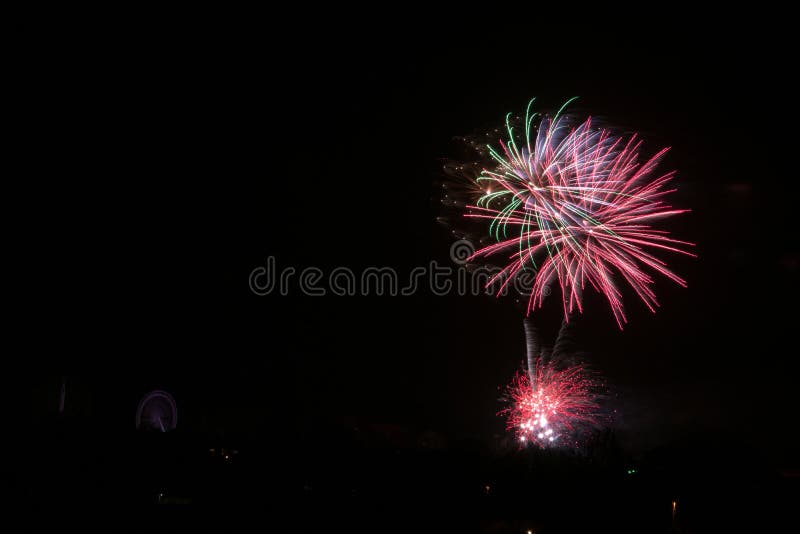 Beautiful Shot Exploding Pink Fireworks Black Night Sky Background ...