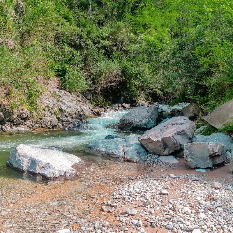 Beautiful Shot of a Flowing River with Big Rocks and Trees Stock Image ...