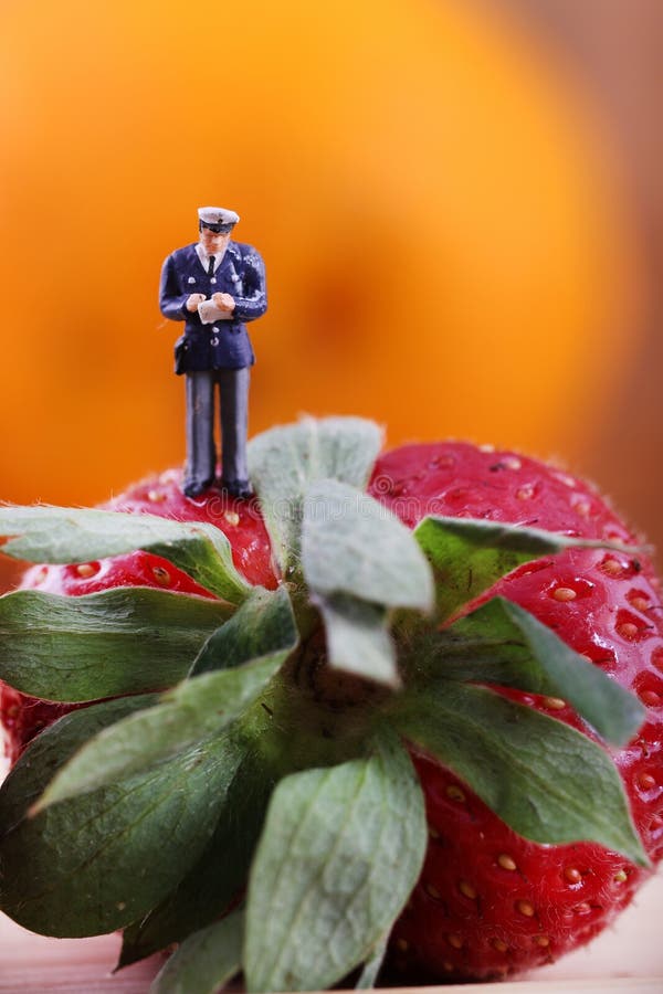 Fruit inspector stock image. Image of health, figurine - 122327963