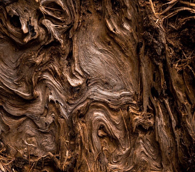 Dark Brown Wooden Gnarly Background Stock Photos - Free & Royalty-Free ...