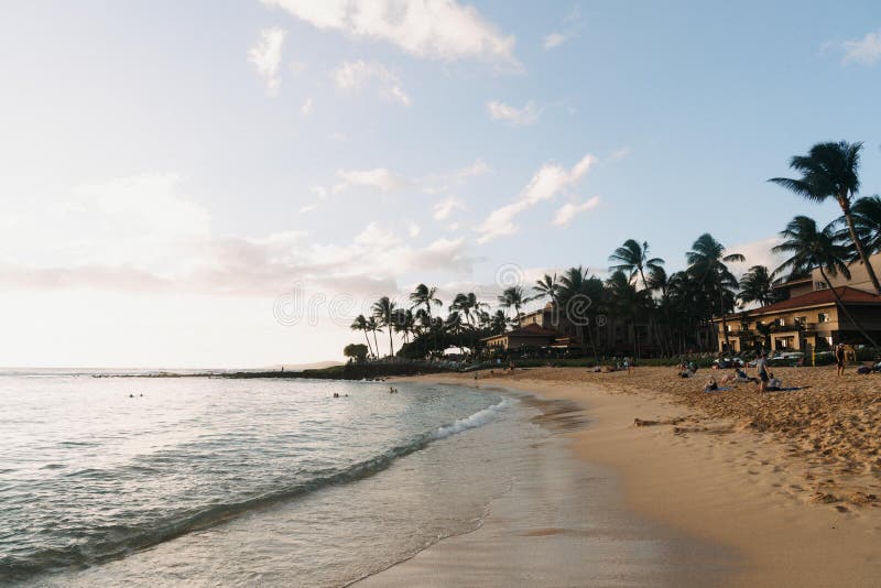 Beautiful Shot of a Golden Sandy Beach with a Scenery of Sunset Stock ...