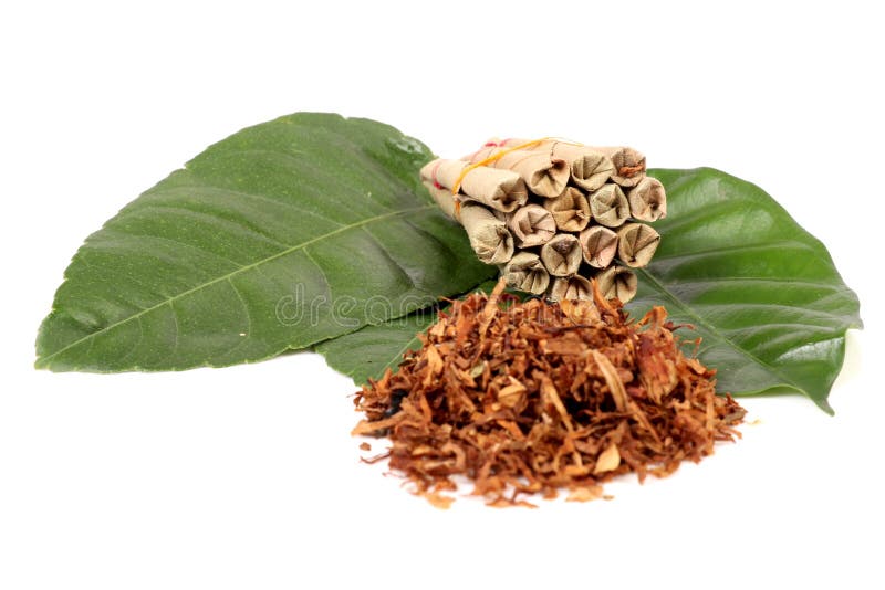Tobacco and cigarettes stock image. Image of brown, prevention - 29651001 Tobacco and cigarettes stock image. Image of brown, prevention - 29651001