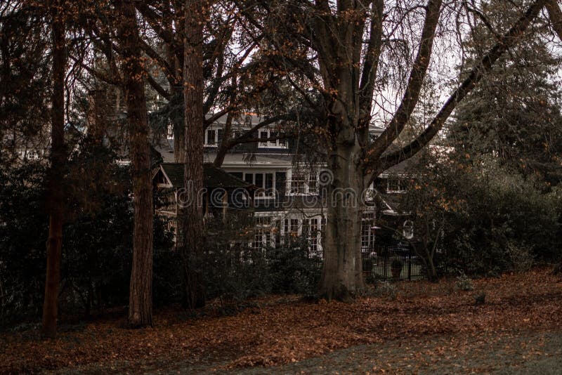 Beautiful Shot of a House Surrounded by Tal Trees Stock Image - Image ...