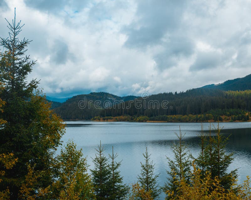 Beautiful Shot of the Icy Strait Point in USA Stock Image - Image of ...