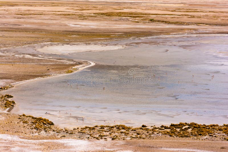 Beautiful Shot of Lagoon in the Desert in Chile Stock Photo - Image of ...