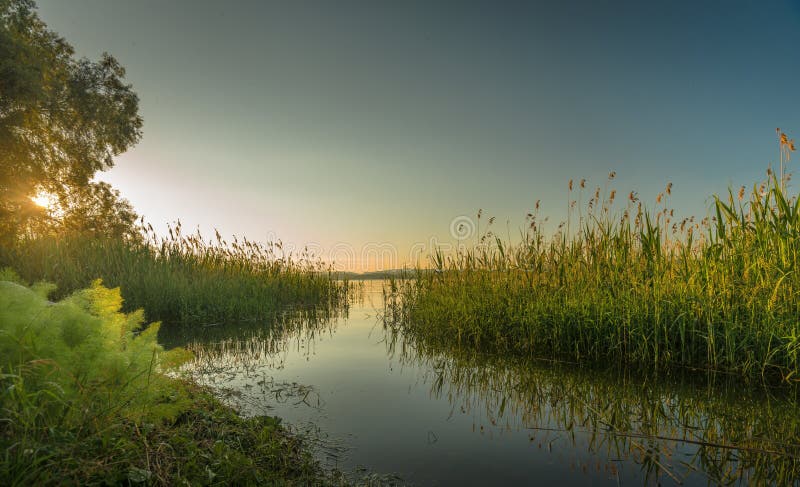 Beautiful Shot of a Lake Surrounded by Trees and Bushes at Sunset Stock ...
