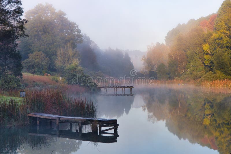 Beautiful Shot of a Lake Surrounded by Trees with a Mist Forming Over ...