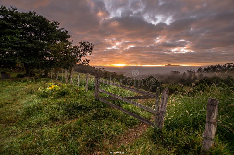 A Landscape with Greenery and Sun. Stock Image - Image of leaf, outdoor ...