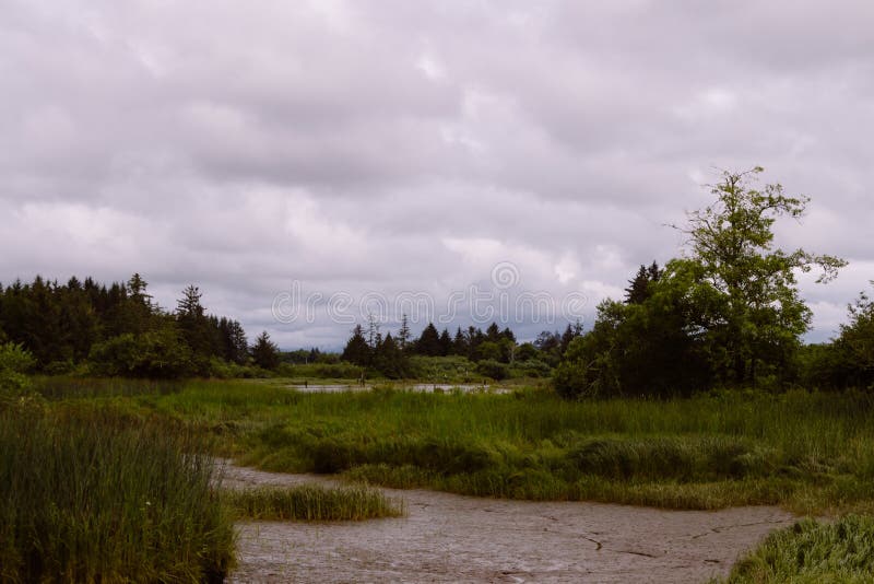 Beautiful Shot of Muddy Pathway in the Middle of Grassy Fields with ...