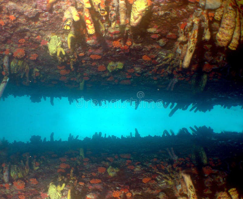 Beautiful Shot of a Narrow Passage in the Deep Sea Stock Photo - Image ...