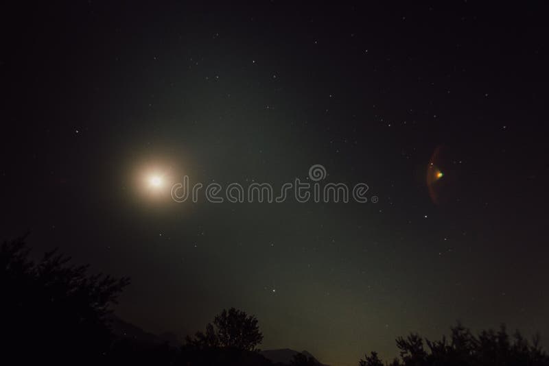 Beautiful Shot of a Night Sky with Stars Above Trees Stock Photo ...