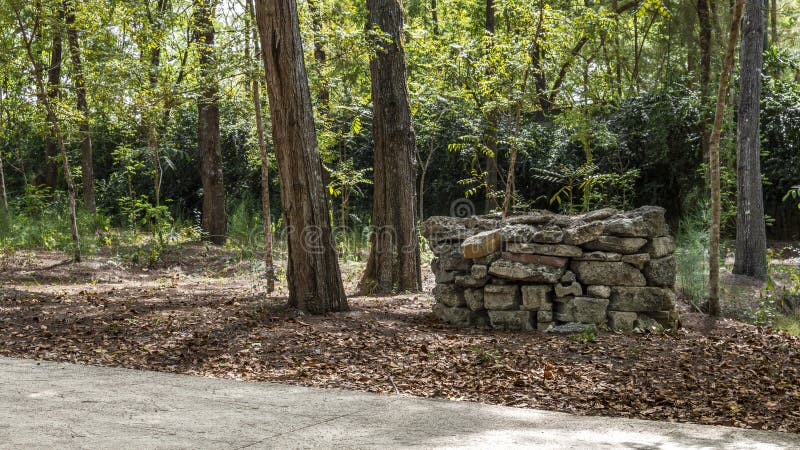 Beautiful Shot of an Old Stone Well in a Sunny Forest Stock Image ...