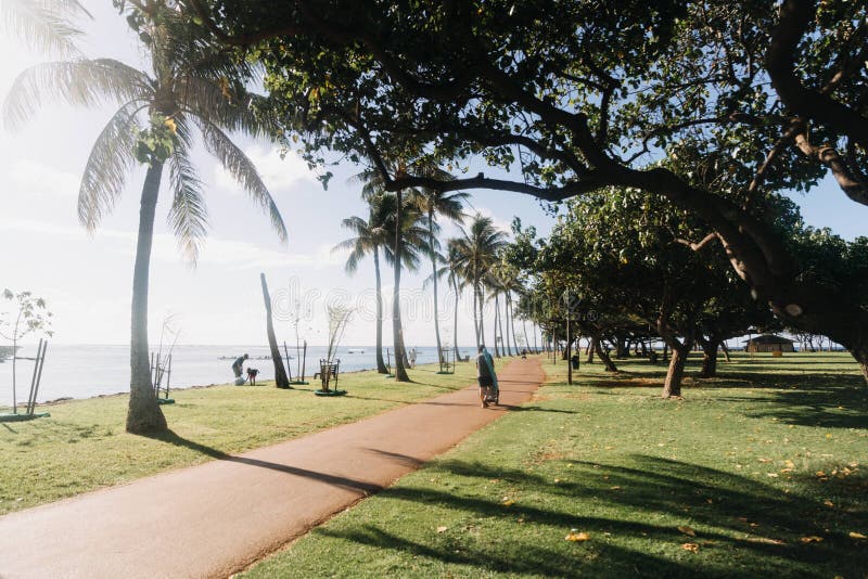 Beautiful Shot of a Park during Daytime Editorial Stock Photo - Image ...