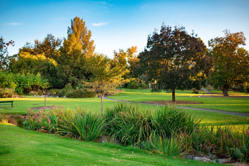Beautiful Shot of a Park Pathway Surrounded with Amazing Nature Stock ...