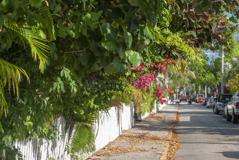 Pathway and Cars in Treviso, Italy Stock Image - Image of centre ...