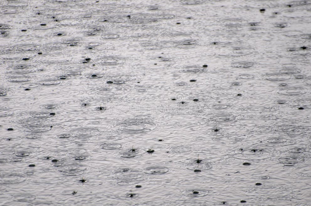 Beautiful Shot of Raindrops Walling in the Water Stock Image - Image of ...