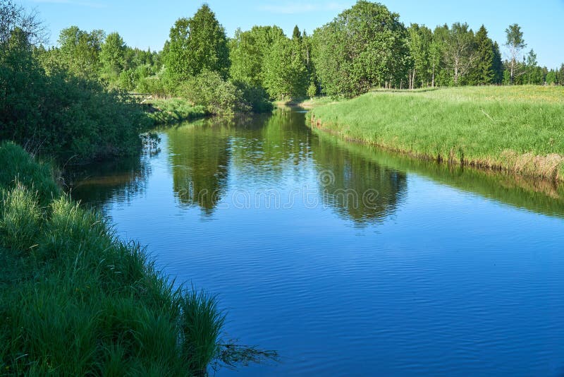 Beautiful Shot of a River Flowing between Fields Surrounded by Trees ...