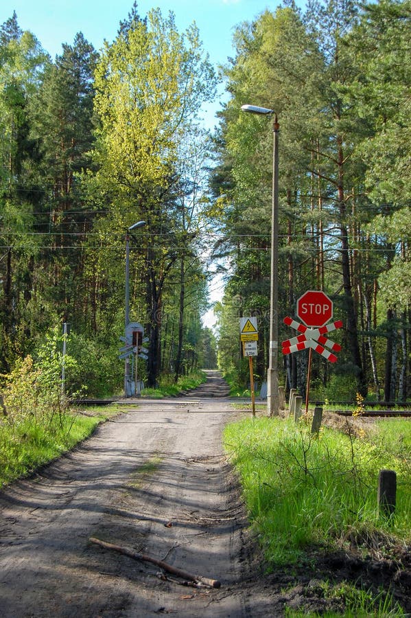 Beautiful Shot of a Road in a Forest Landscape Crossing a Railway Stock ...