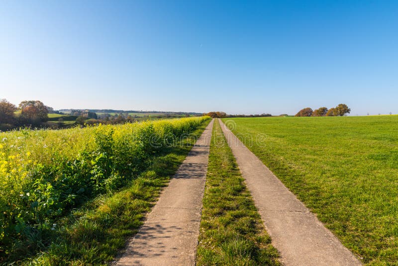 Beautiful Shot of a Road Green Field Stock Photo - Image of grass, land ...