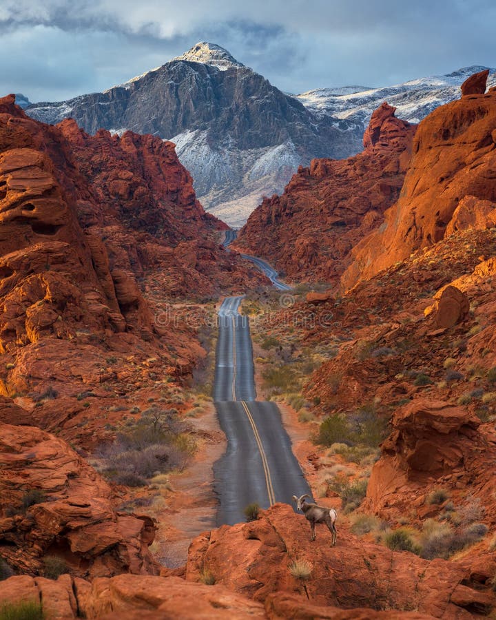 A Road Runs through it in the Valley of Fire State Park, Nevada, USA ...