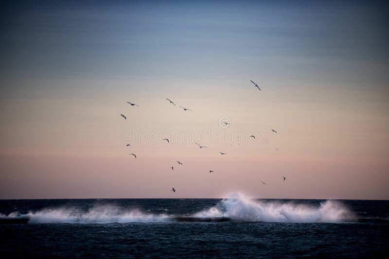 Beautiful Shot of the Sea with Waves and Birds Flying Over it Stock ...