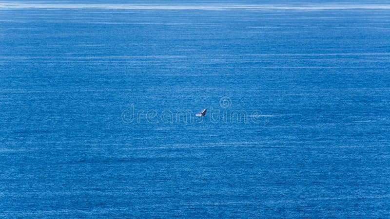 Beautiful Shot of a Shark in the Distance Stock Image - Image of life ...