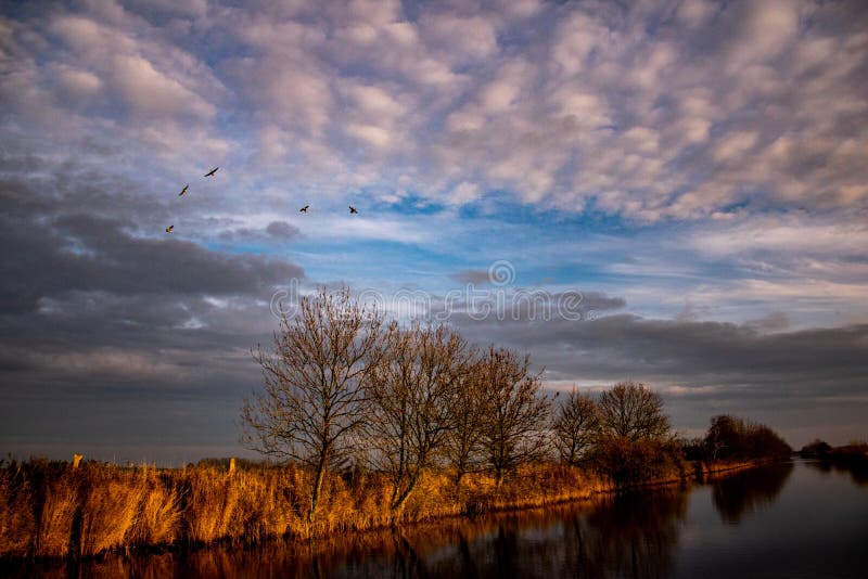 Beautiful Shot of the Sky during Sunset with a Lake and Trees ...
