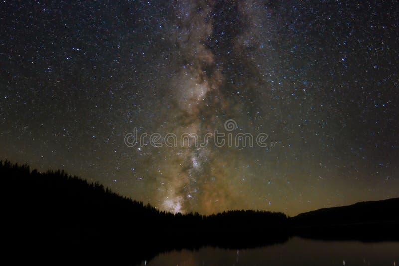 Beautiful Shot of a Starry Milky Way Night Sky Over a Forest Stock ...