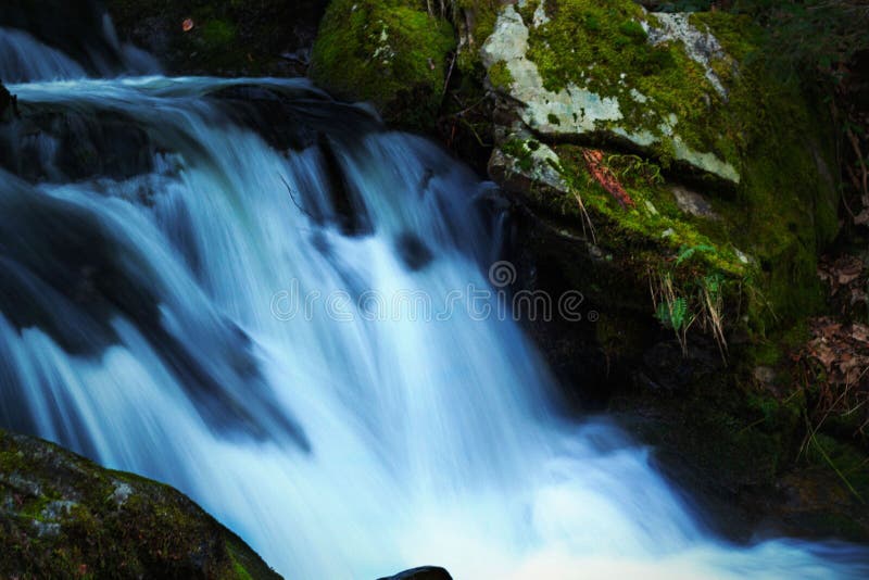 Beautiful Shot of a Streaming Waterfall in the Woods Stock Photo ...