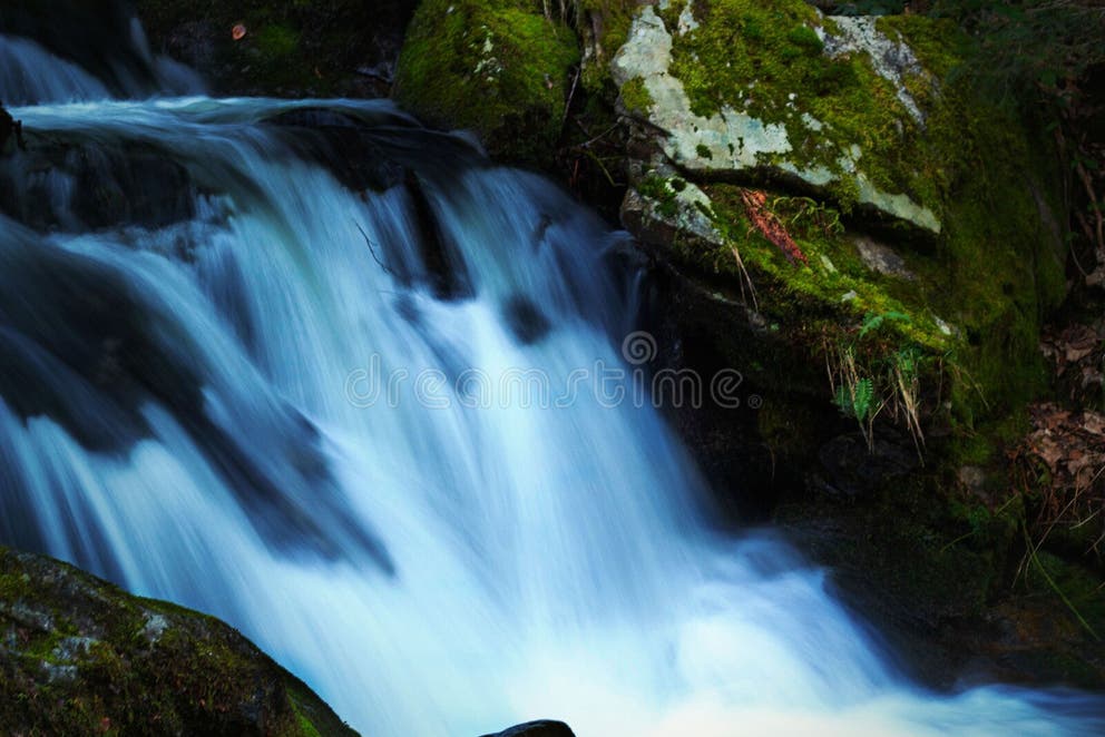 Beautiful Shot of a Streaming Waterfall in the Woods Stock Photo ...