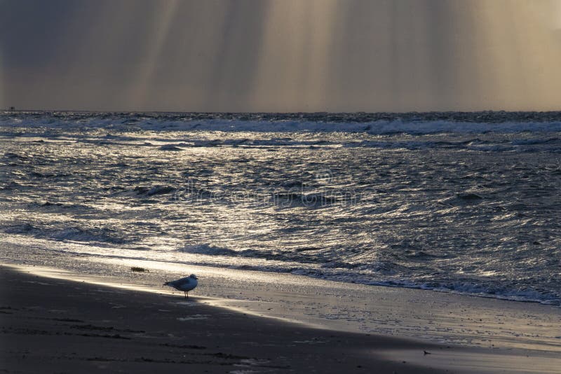 Beautiful Shot of Sun Rays Spreading Over the Ocean during the Sunset ...