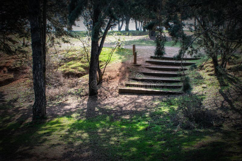 Beautiful Shot of a Sunny Park with a Staircase Stock Image - Image of ...