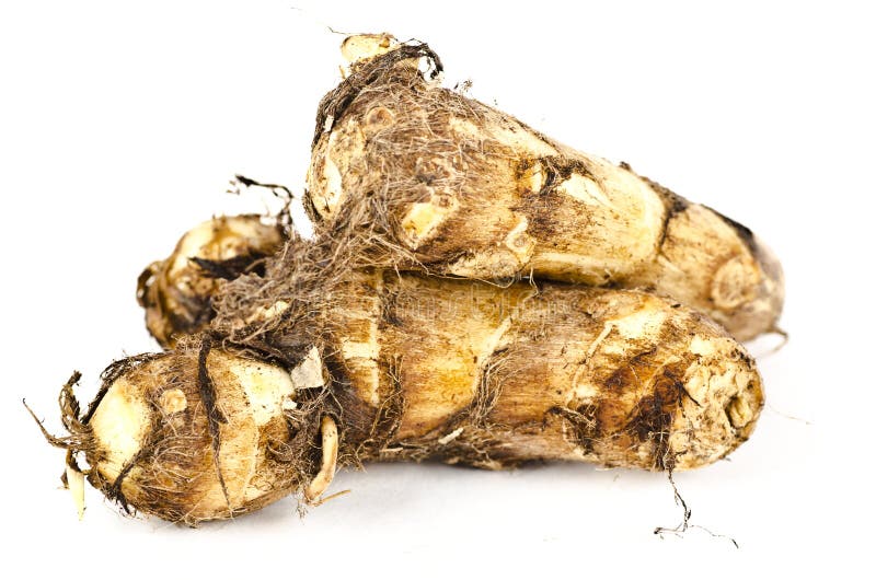 Taro root vegetable stock photo. Image of root, vegetable - 120767140