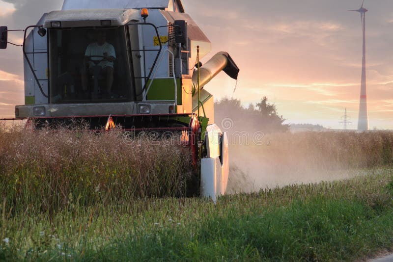 Beautiful Shot of a Tractor Reaping the Fields of Wheat Stock Image ...
