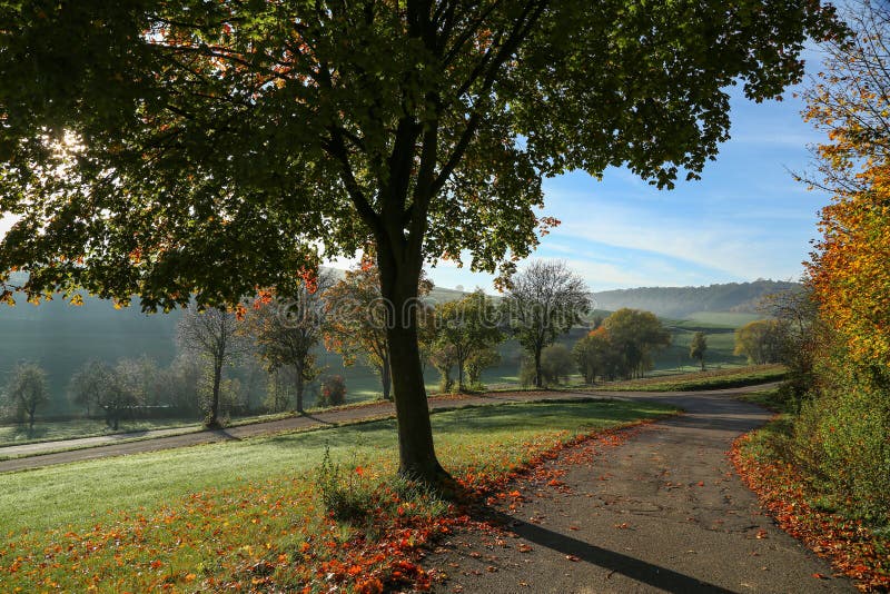 Beautiful Shot of a Trail Leading through Trees Stock Image - Image of ...