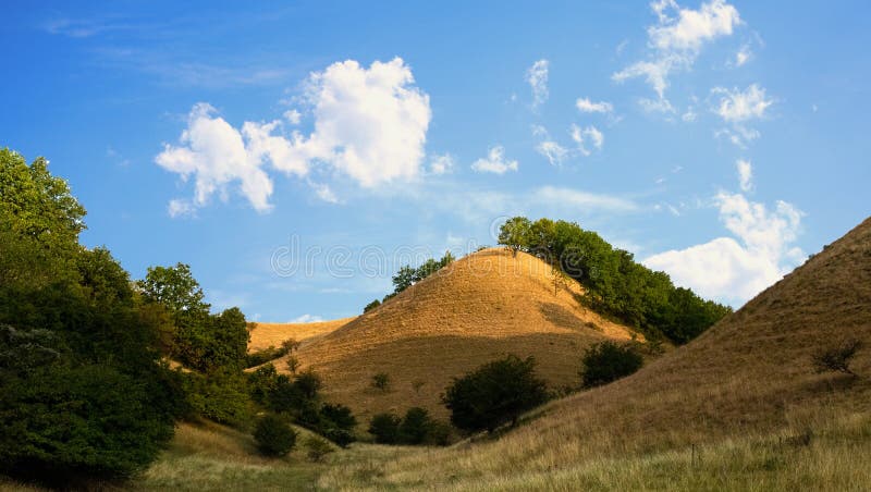 Beautiful Shot of Trees Growing on Small Hills Stock Image - Image of ...