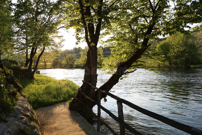 Beautiful Shot of Trees Near a River Stock Image - Image of wooden ...