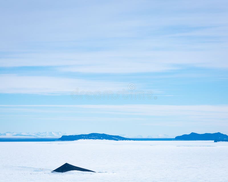 Beautiful Shot of the Turtle Rock in Antarctica Stock Photo - Image of ...